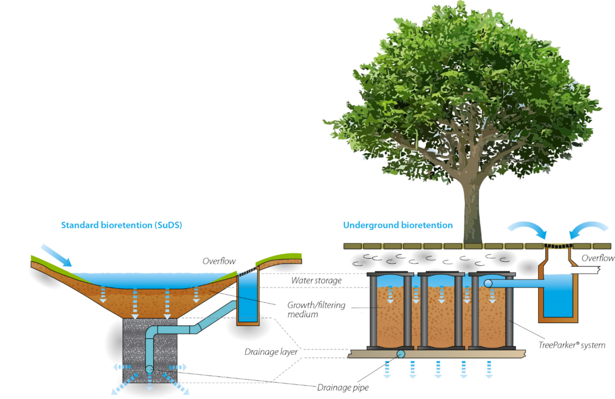 Water management - TreeBuilders