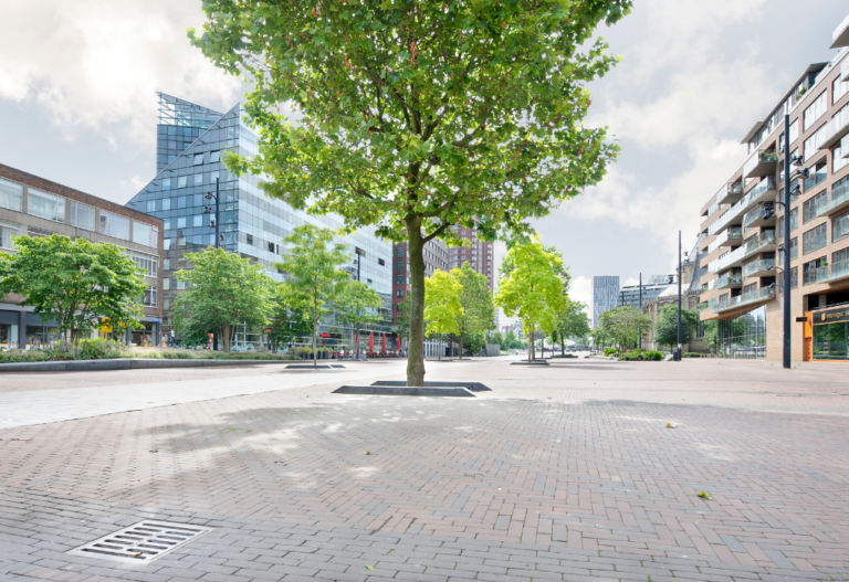Binnenrotte | Rotterdam - TreeBuilders