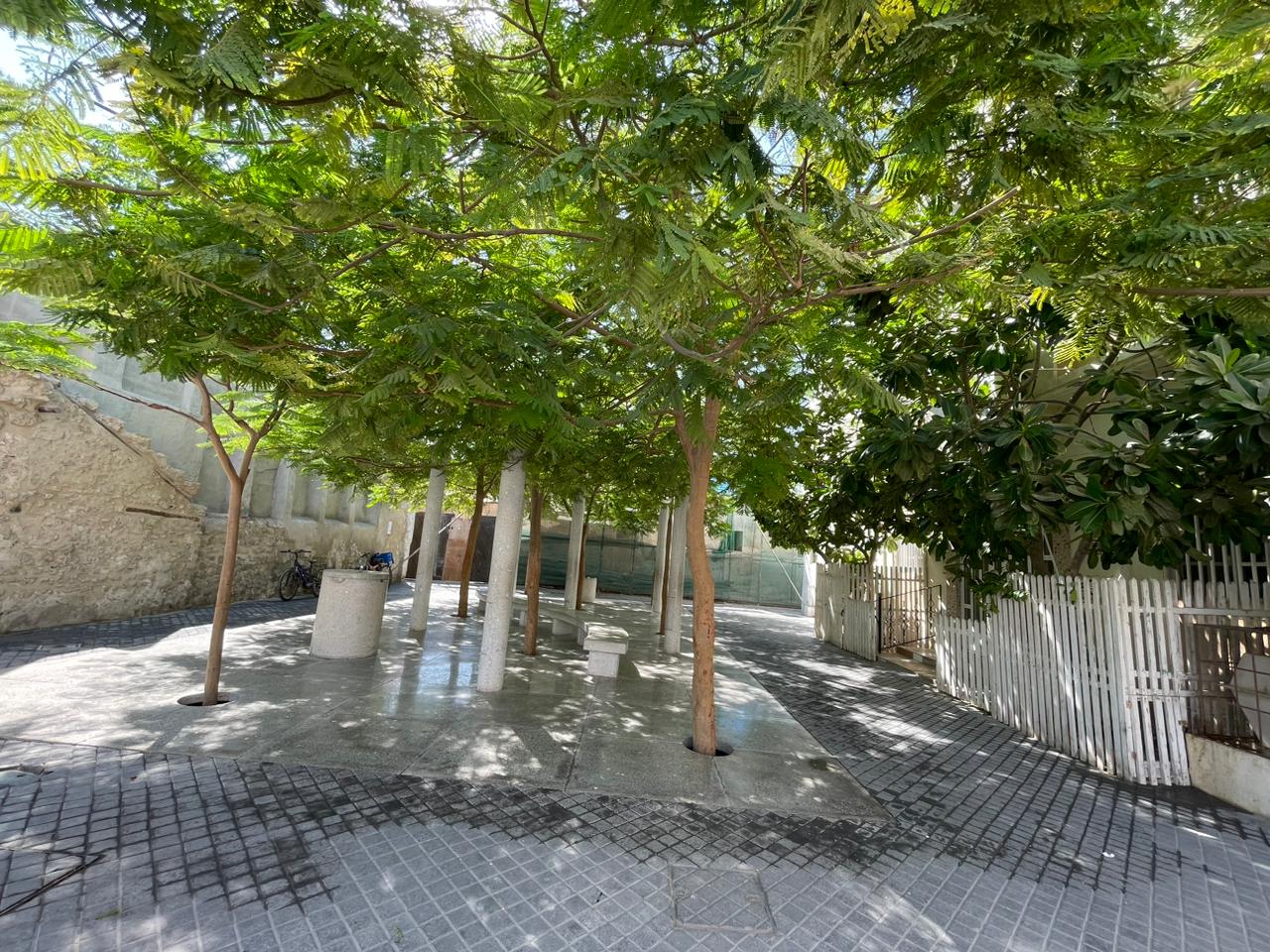 Pearling Path, Bahrain - TreeBuilders