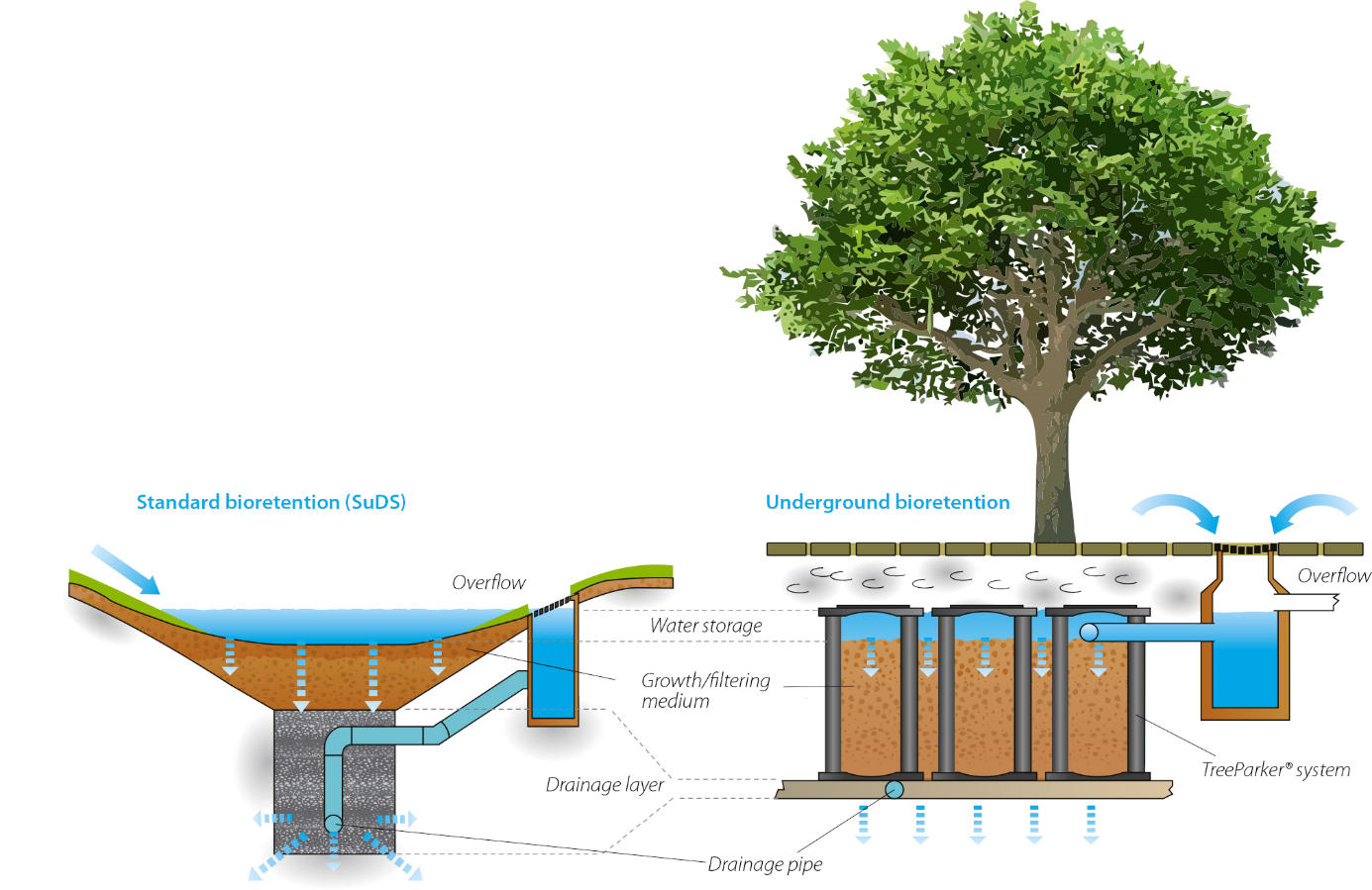 Stormwater Management with an Underground SuDS - TreeBuilders