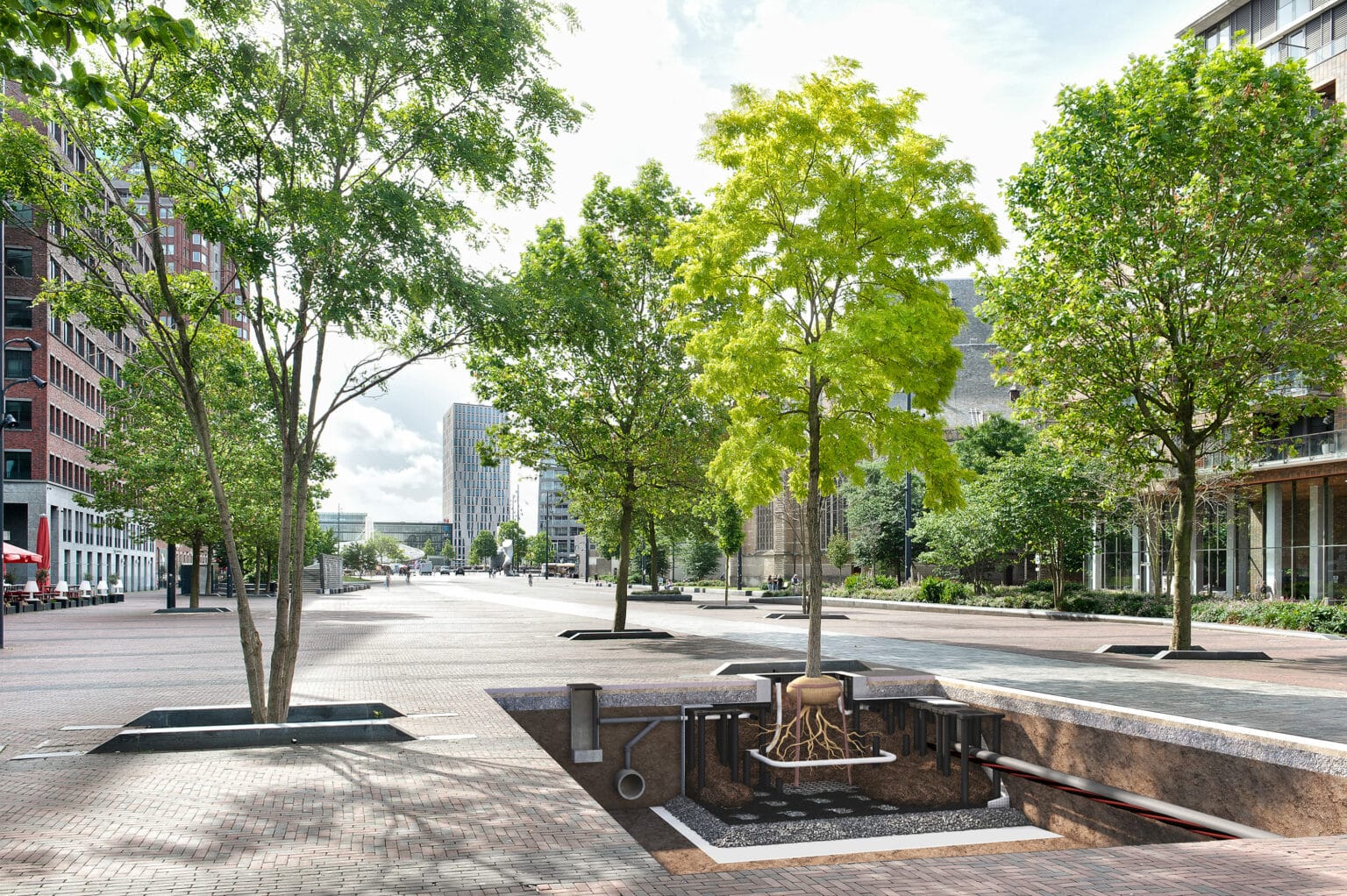 Stormwater Management with an Underground SuDS - TreeBuilders