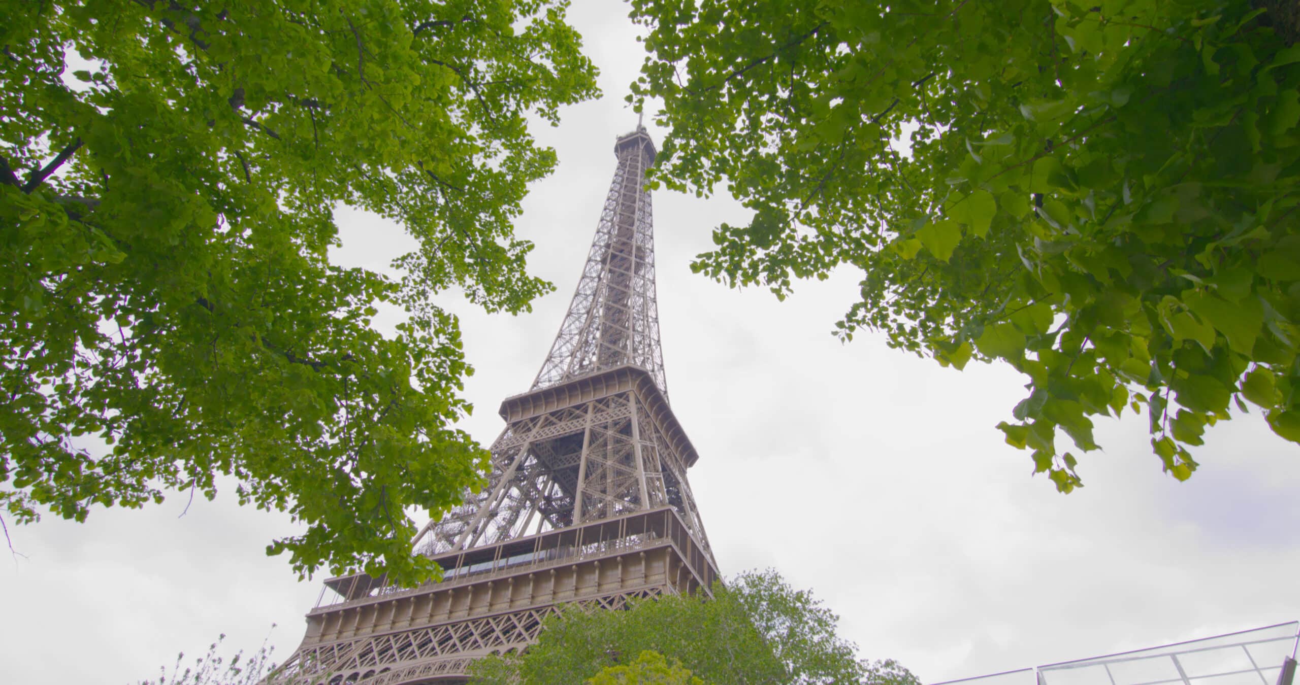 Eiffel Tower | Paris - TreeBuilders